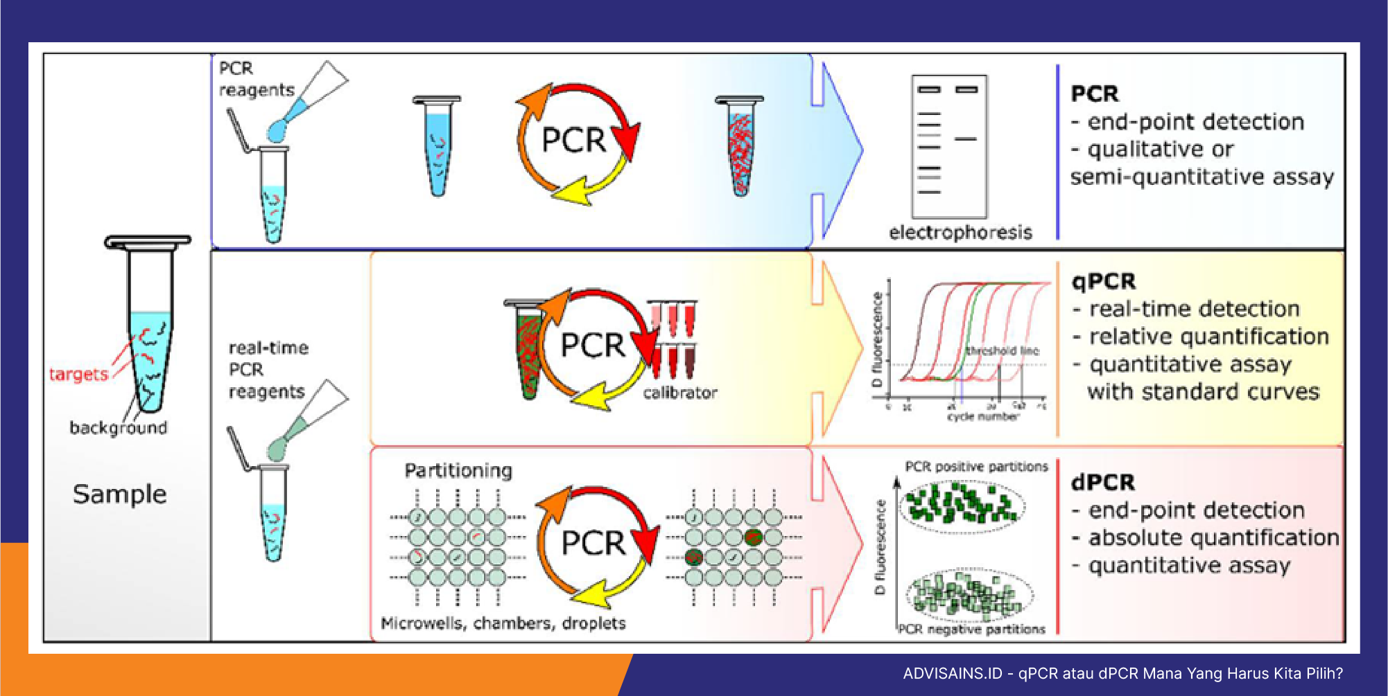 qPCR atau dPCR Mana Yang Harus Kita Pilih? - Info Advisains