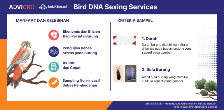 Menentukan Jenis Kelamin Burung dengan Pemeriksaan DNA