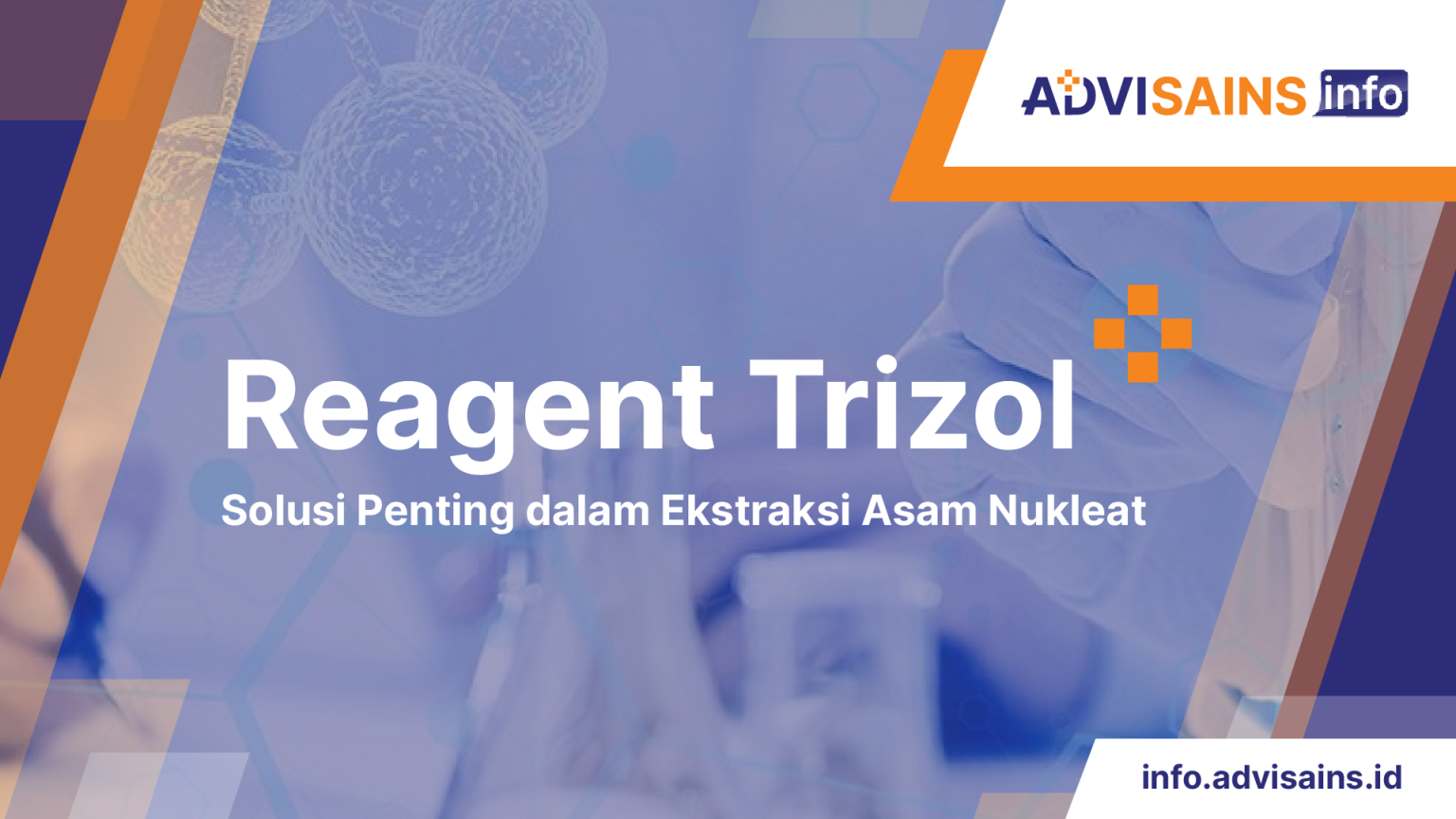 Reagent Trizol: Solusi Penting dalam Ekstraksi Asam Nukleat - Info ...