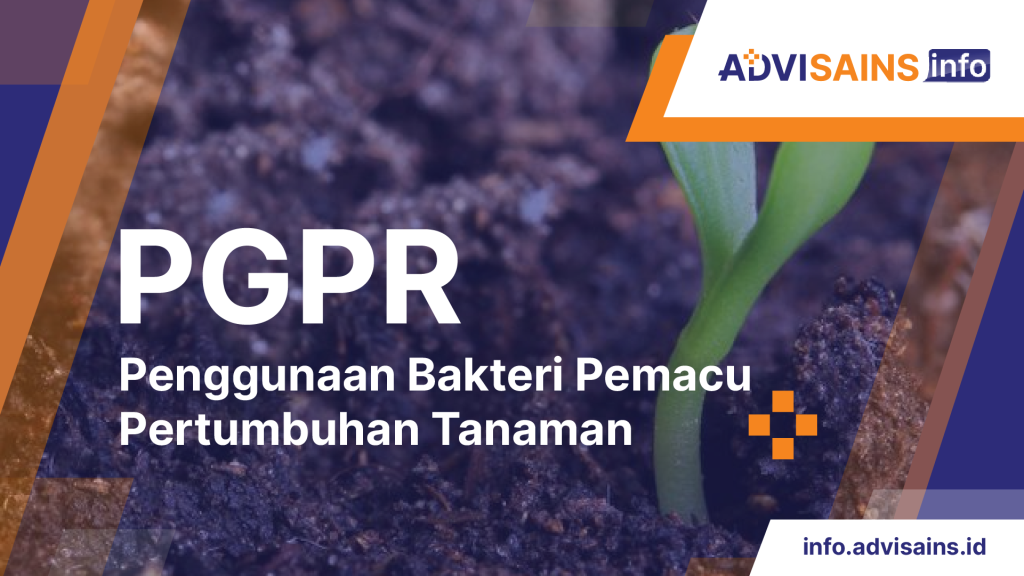 Pemanfaatan PGPR dan Metode Ecoplate dalam Pertanian